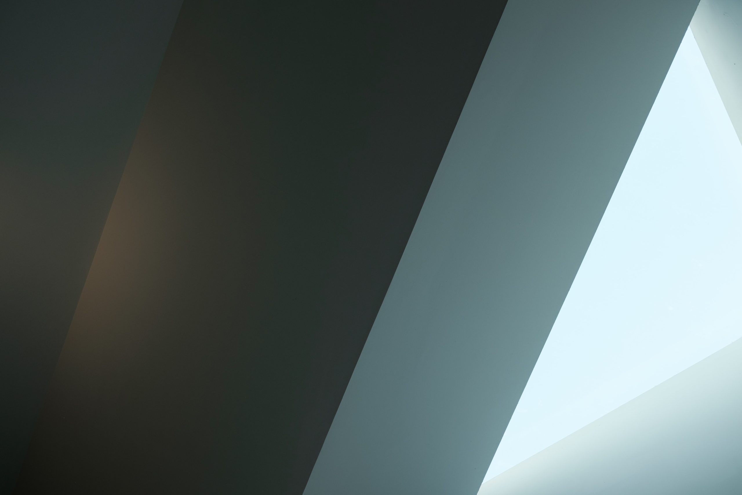 AI Algorithms in Healthcare: from Diagnosis to Prediction