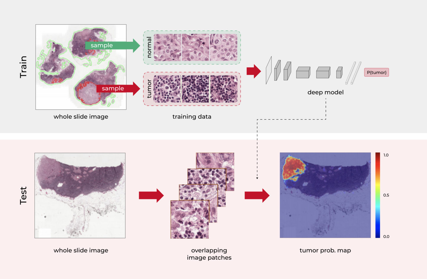 Machine Learning Applications in Healthcare